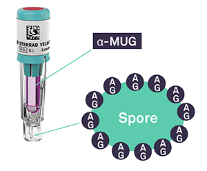 STERRAD VELOCITY™ Biological Indicator System | ASP